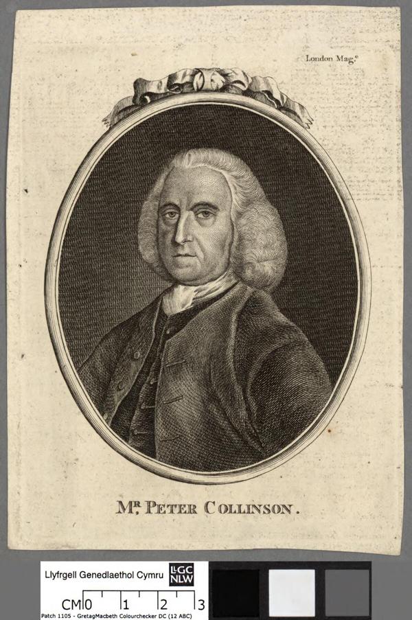 Peter Collinson - | FeelTheArt