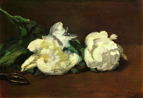 Rama de peonía blanca y podadora - Édouard Manet | FeelTheArt