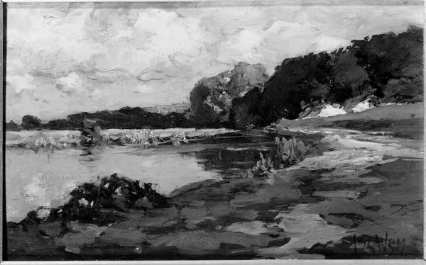 Banks of a River - José Weiss | FeelTheArt