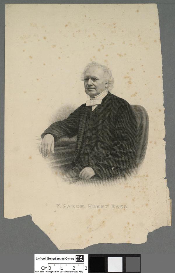 Henry Rees - | FeelTheArt