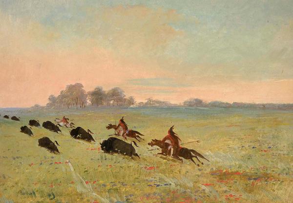 Comanche Indians Chasing Buffalo - George Catlin | FeelTheArt
