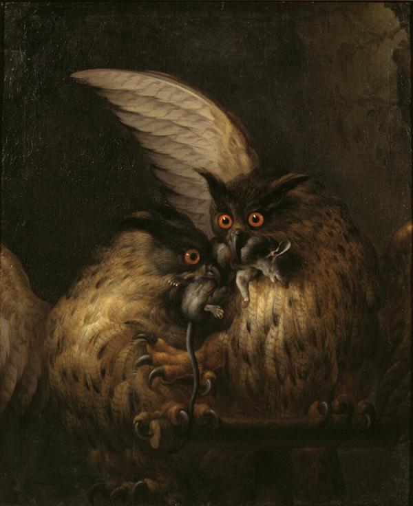 Dos búhos peleando por una rata - Hans Georg Müller | FeelTheArt