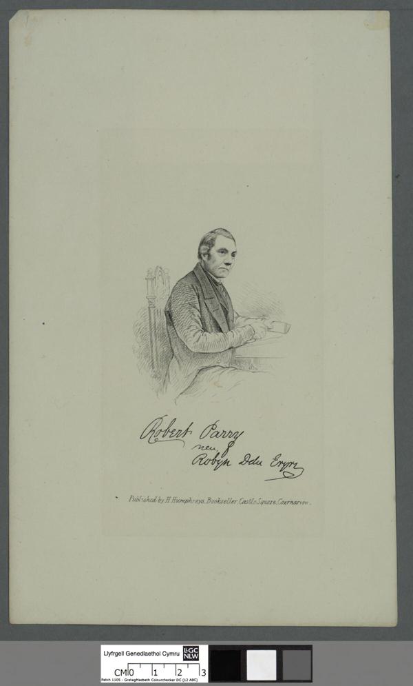 Robert Parry neu Robyn Ddu Eryri - | FeelTheArt