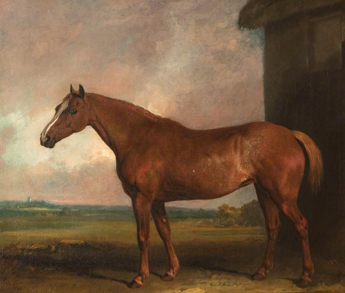 The Favourite Horse of Lord Charles Vere Ferrers Townshend (1785-1853 ...