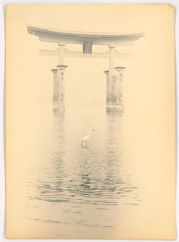 Héron, Hiroshima - Maxime Fardeau | FeelTheArt