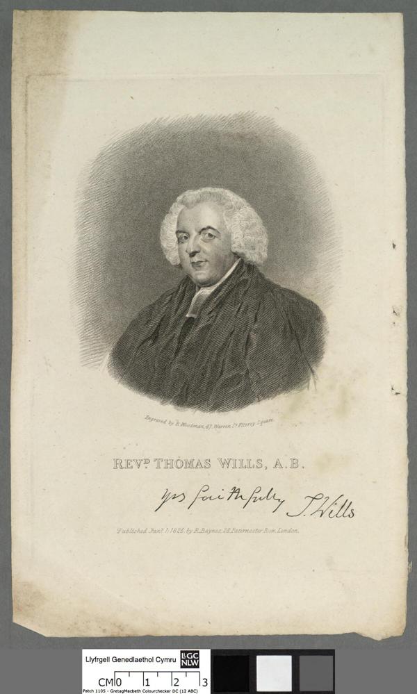 Rev. Thomas Wills, A.B. - Richard Woodman | FeelTheArt